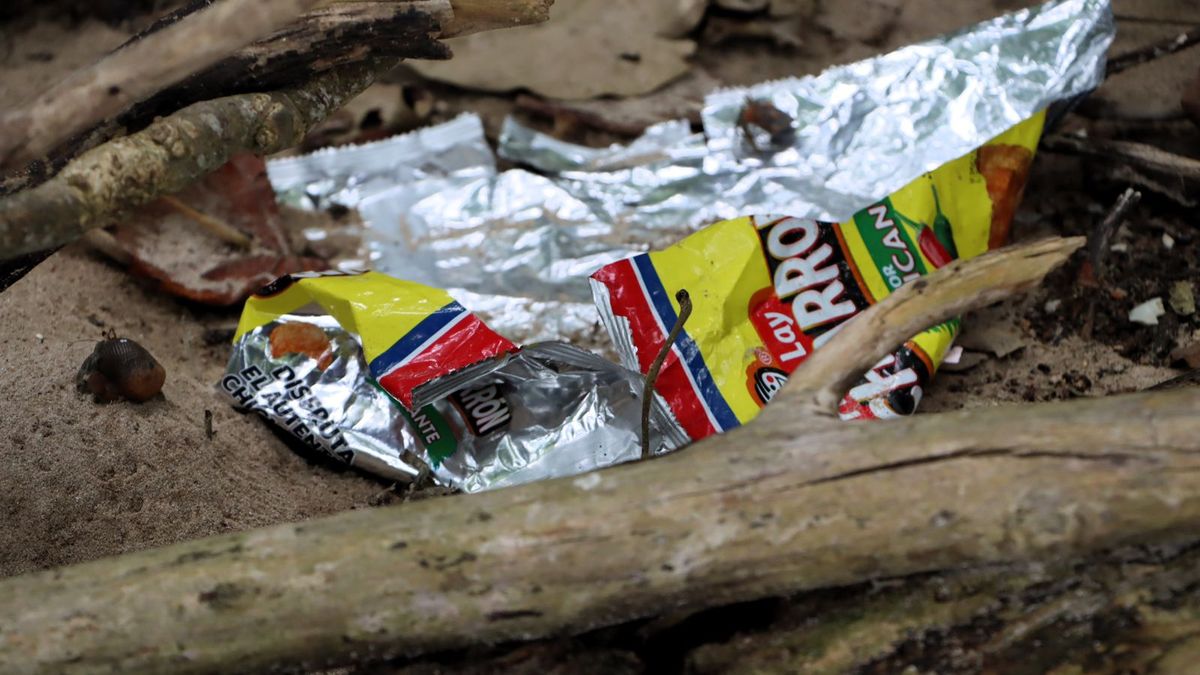 Prohíben uso de plásticos de un solo uso en áreas protegidas a partir ...