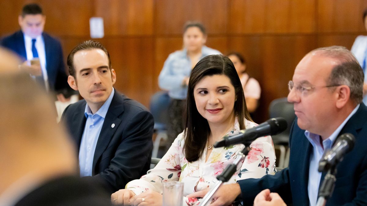 Mitradel presentará ante el Gabinete un proyecto de ley sobre pasantías