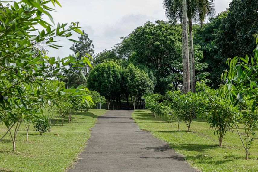 Parque Omar no cobrará uso de estacionamientos