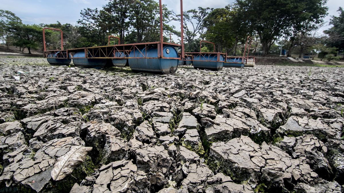 Sequía: Los países más y menos vulnerables en el mundo