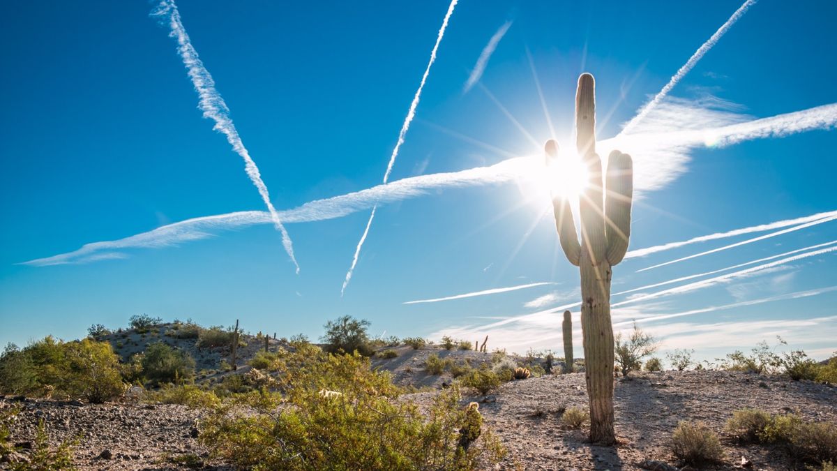 Estado de Arizona confirma 645 muertes por calor en Phoenix durante 2023