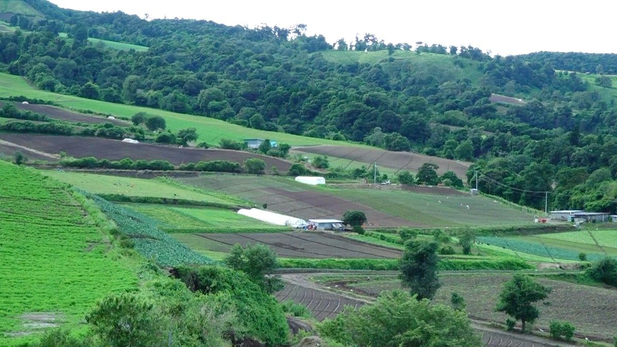 Chiriquí: Crece el agroturismo