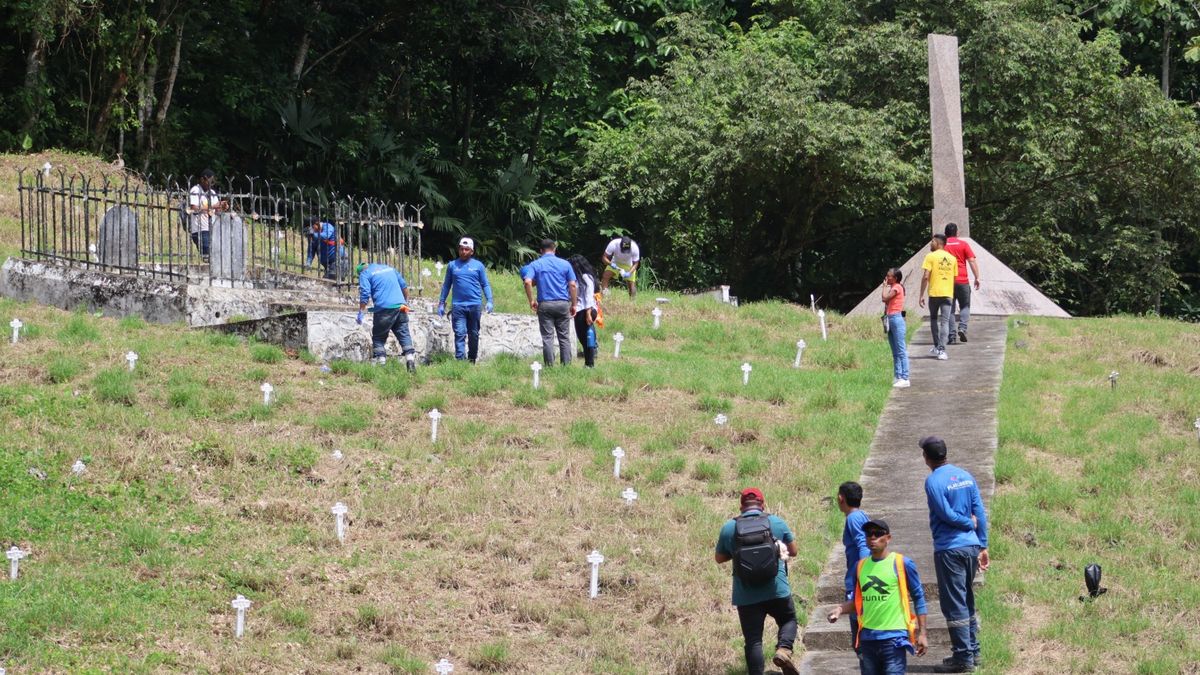 Turistas de isla Guadalupe conocen avance de remodelación del ...