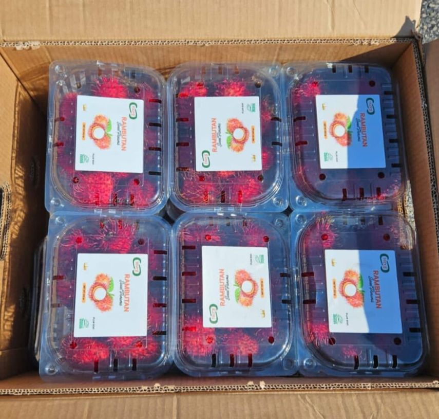 Mamón chino chiricano incursiona en el mercado de Nueva York