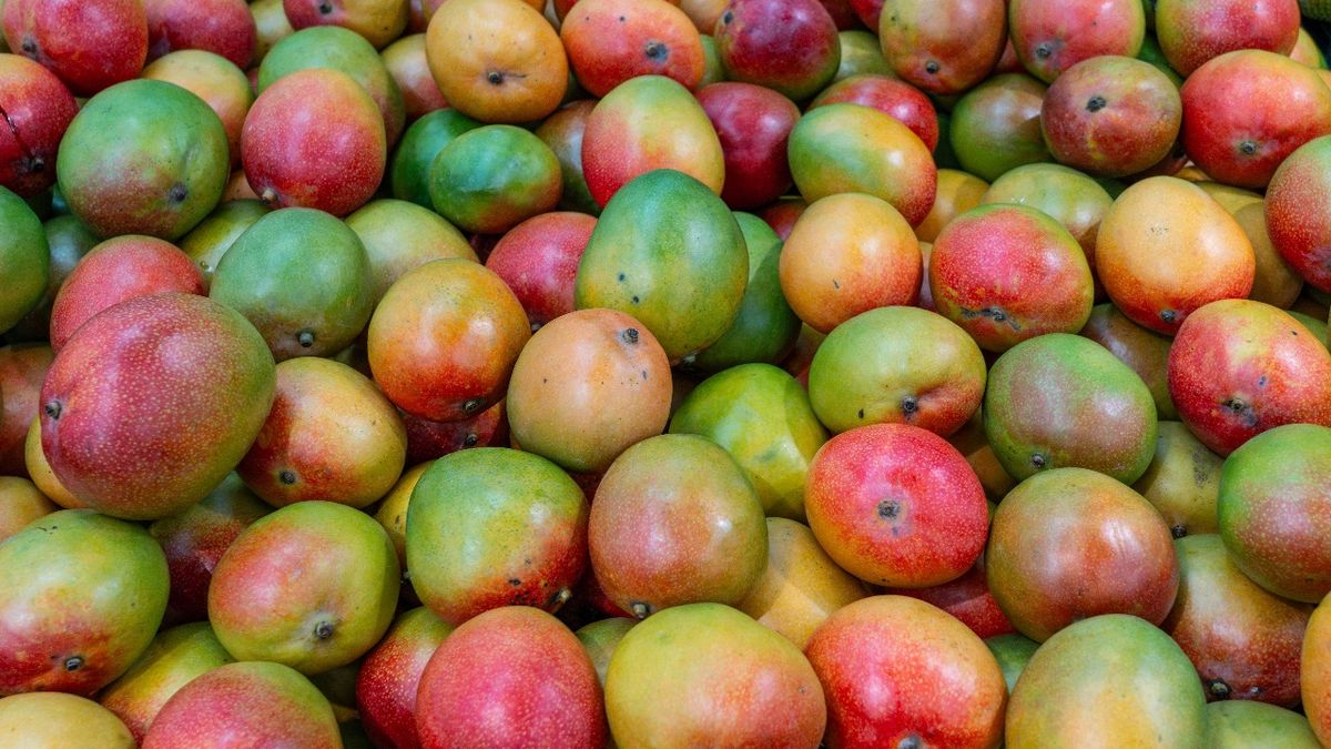 Panamá y EEUU fortalecen alianza para aumentar exportación de frutas ...