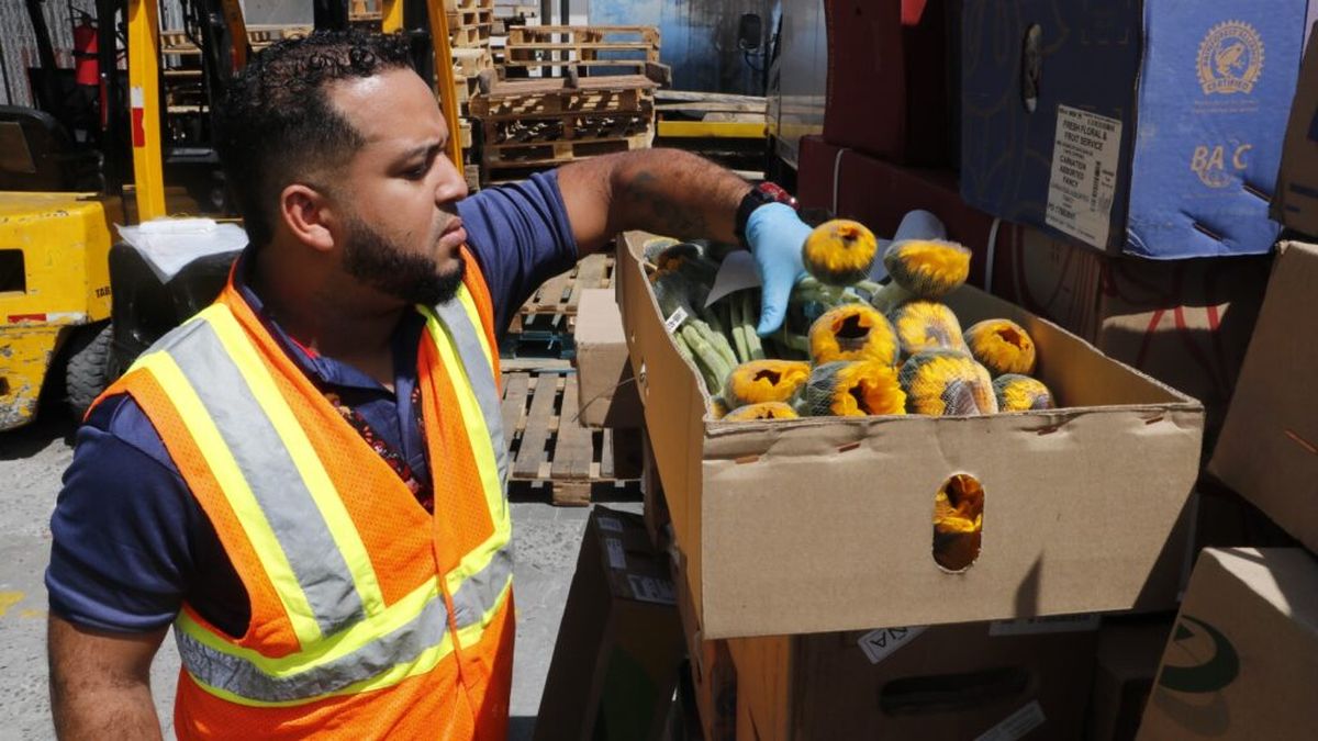 MIDA intensifica proceso de supervisión de flores