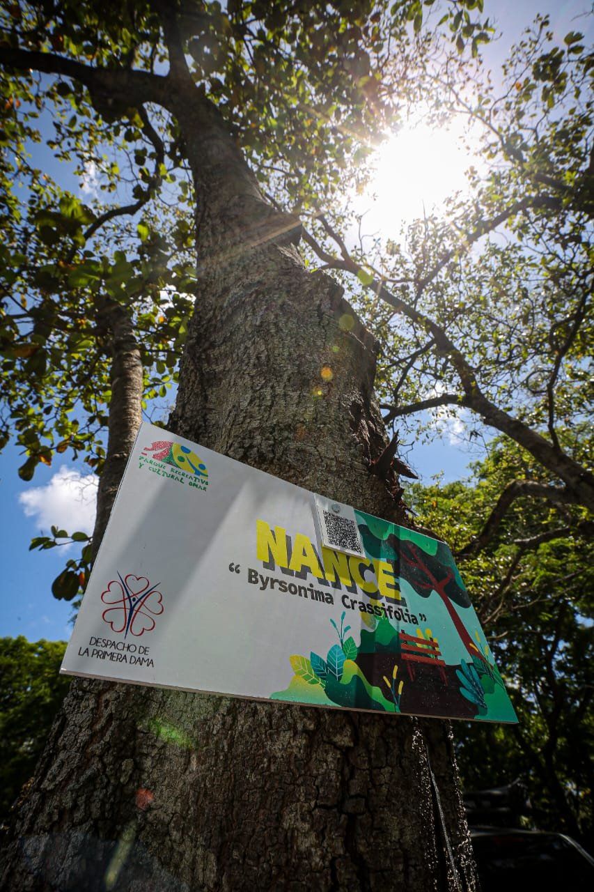 Parque Omar, primero con plan de árboles identificados con códigos QR