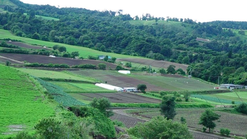 Chiriquí: Crece el agroturismo