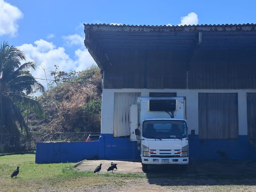 Minsa ordena cierre temporal del matadero municipal de Colón