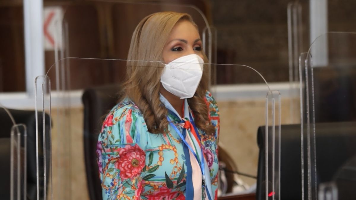 Yanibel Ábrego aspira a presidencia de la República por Cambio Democrático