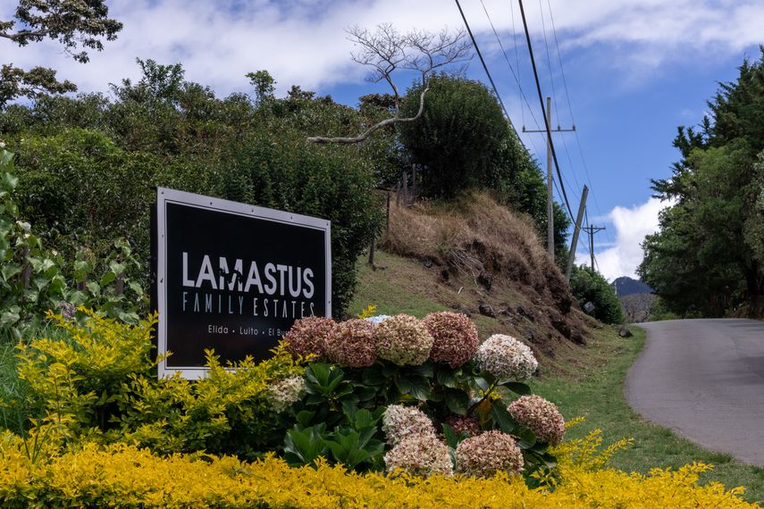 Best of Panama premia a Lamastus Family Estates como productor
