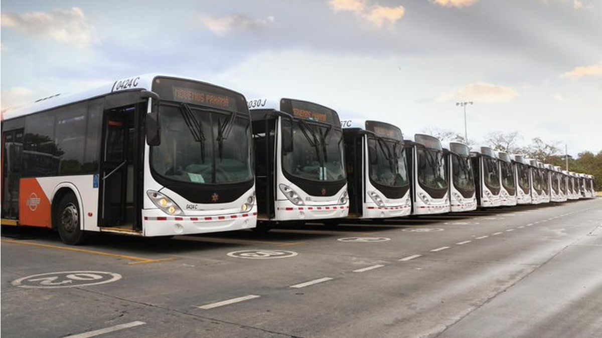 MiBus incrementa su nivel de servicio con 440 buses adicionales en ...