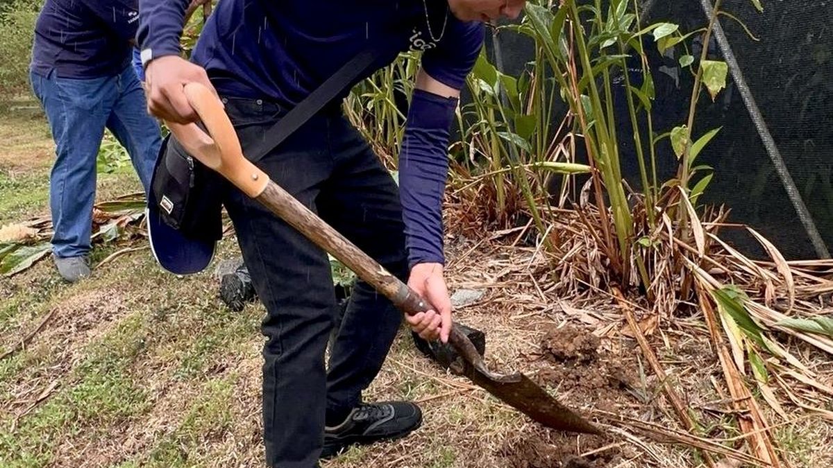 Día de la Tierra: Acción Tigo realiza siembra de plantas en el Parque ...