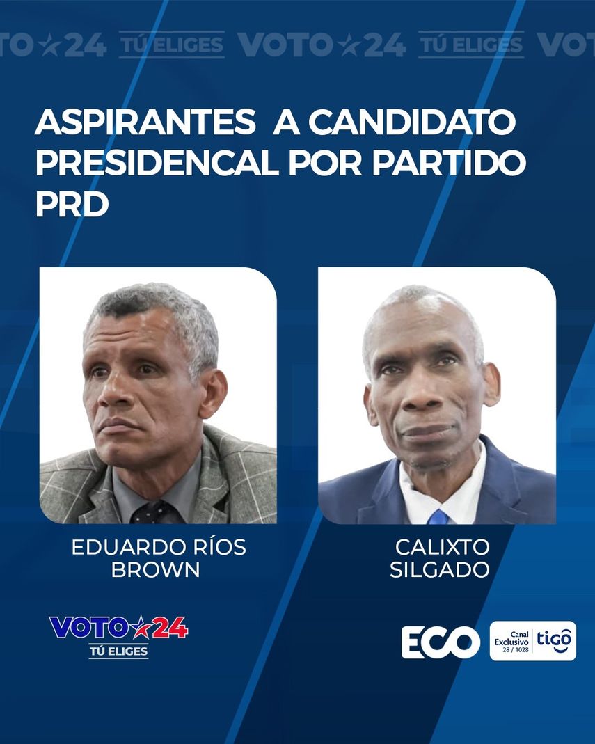 PRD: ocho precandidatos en carrera por liderar al partido