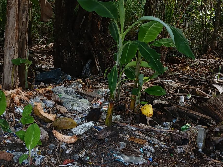 Cierre temporal de Isla Escudo de Veraguas-Degó por destrucción ...