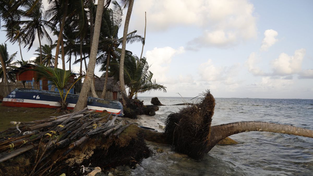 MiAmbiente: Panamá perderá zonas costeras e islas al 2050