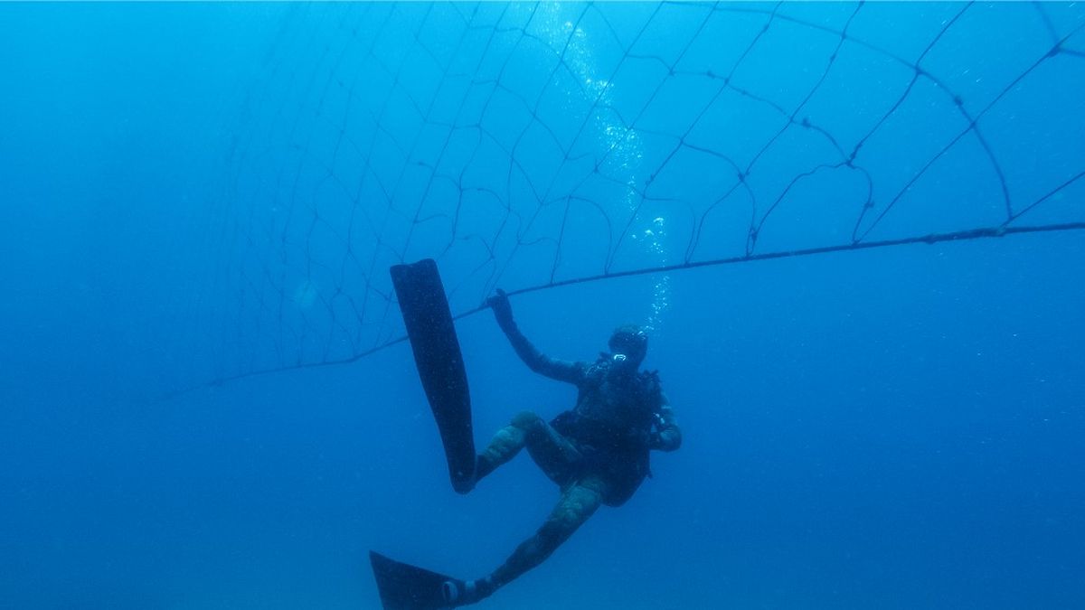 FAO lanza campaña mundial para limpiar los océanos