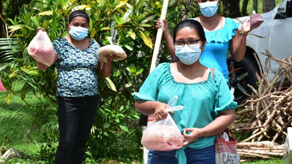 Mujeres en Capira combaten secuelas covid-19 con huertos