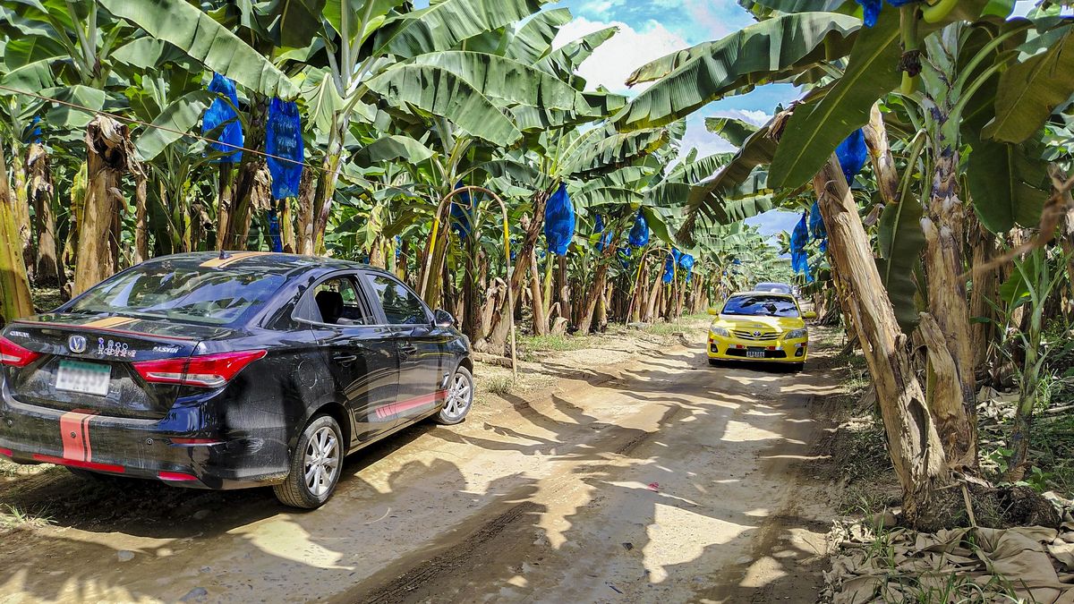 Miles de despidos y una economía paralizada en Bocas del Toro, tras ...