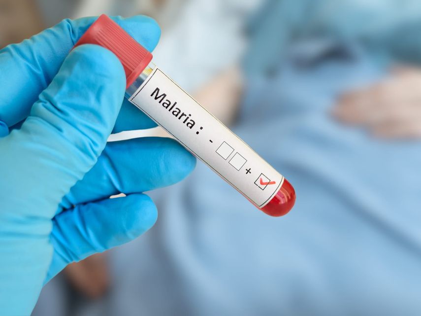 Costa Rica celebra reducción del 94.5 % en casos de malaria durante 2025