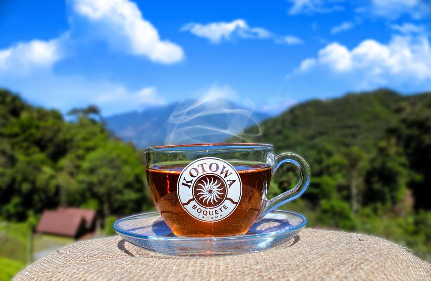 KOTOWA presenta un té 100% cosechado y producido en Panamá